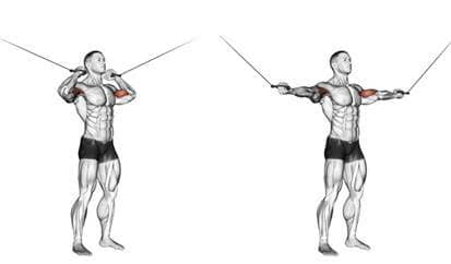 Curl de Bíceps en polea: Cómo hacerlo, errores comunes y variantes