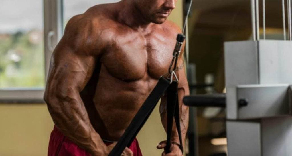 Rutina de Ejercicios de tríceps